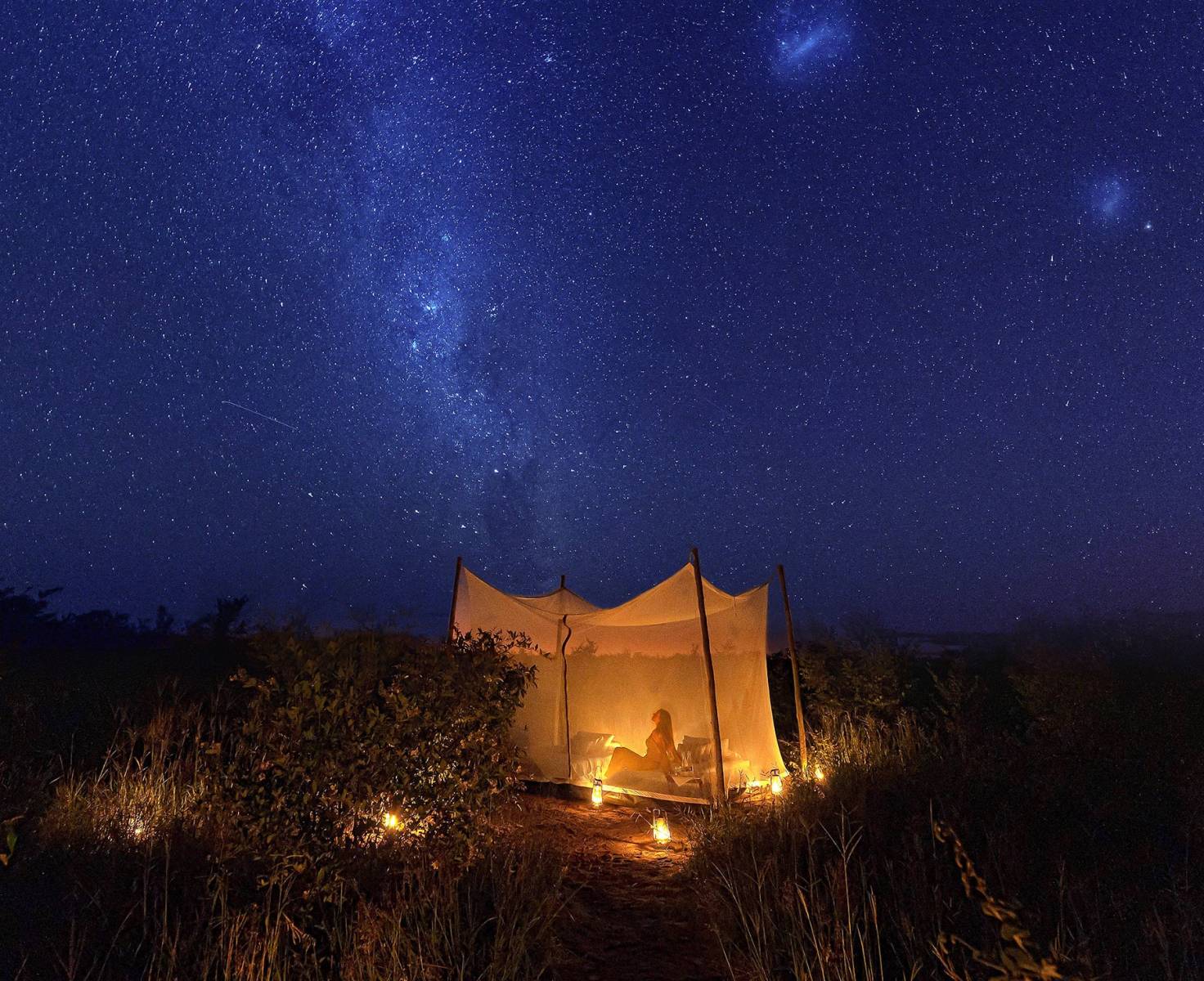 Star Bed at Feline Fields - Hotels, eco-lodges and waterways