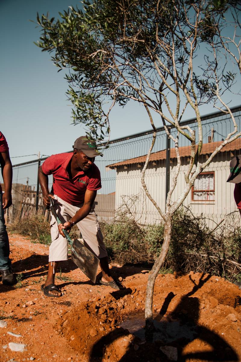 Greening the township of KwaNobhule - Hotels, eco-lodges and waterways