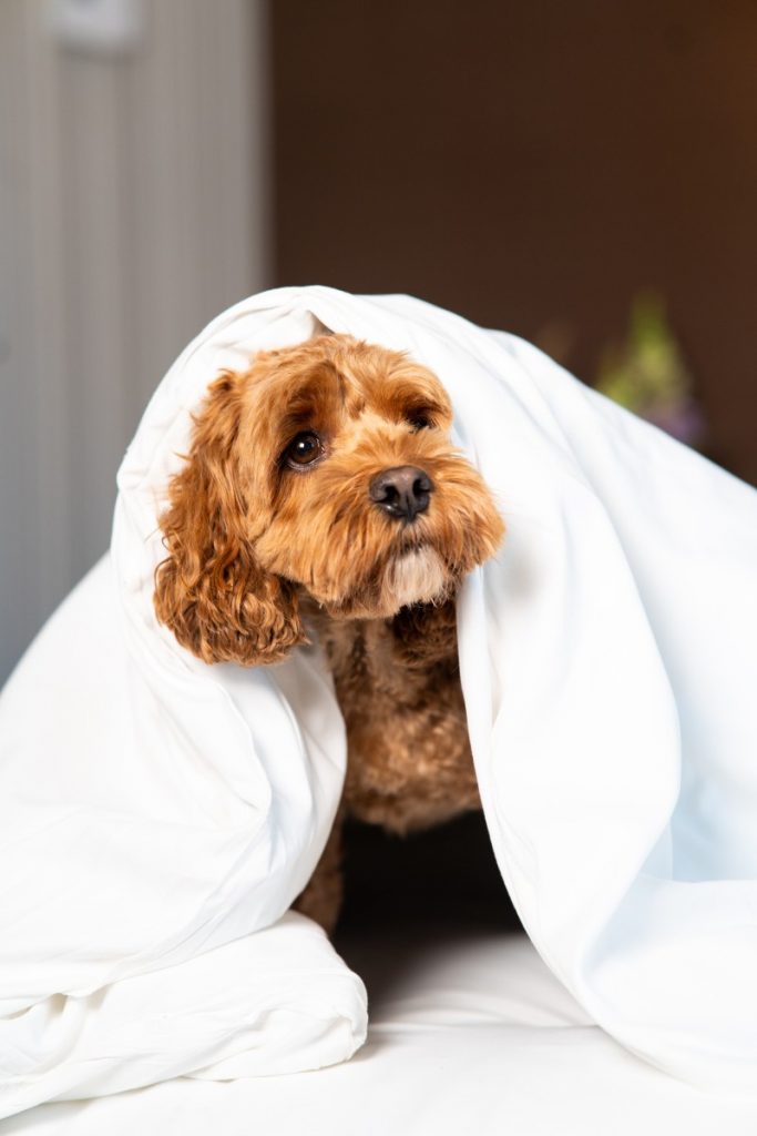 Sofitel Philadelphia at Rittenhouse Square - Where life lives