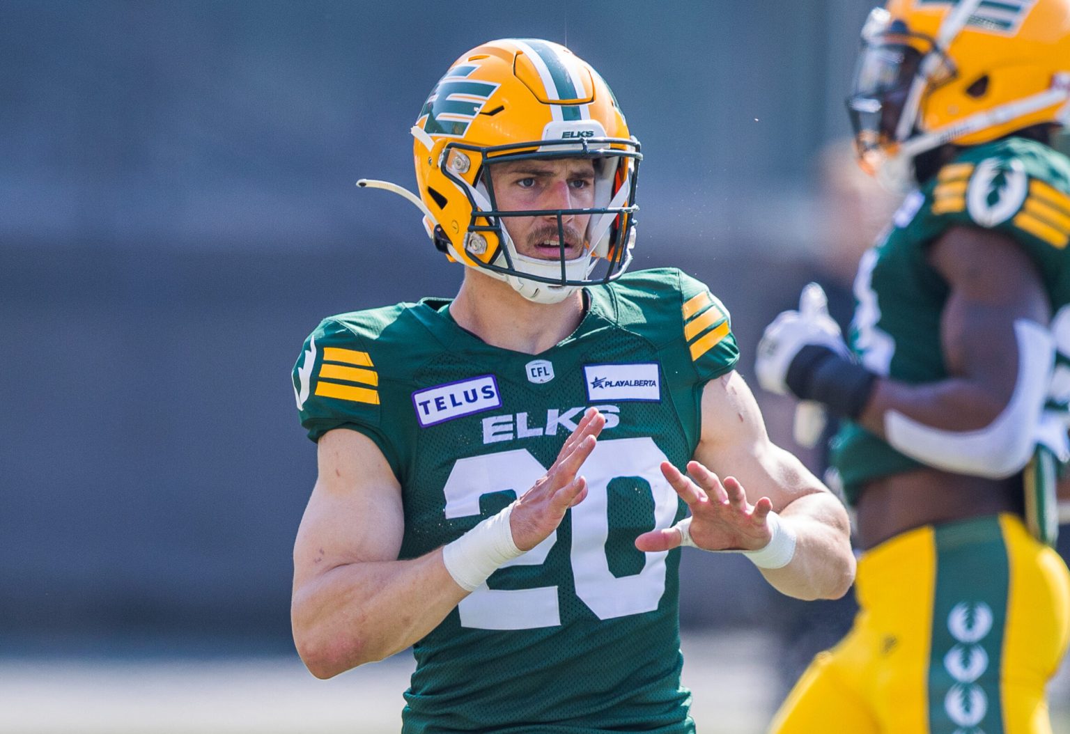 Edmonton Elks' DB Scott Hutter announces injury is season-ending ...