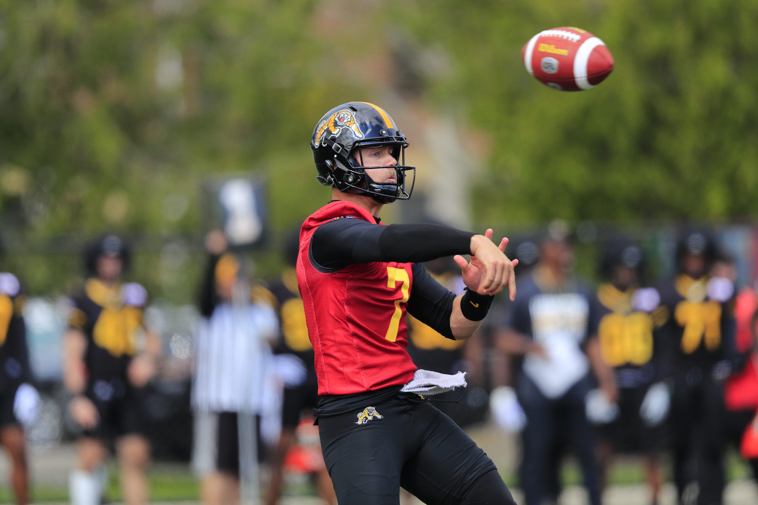 Bo Levi Mitchell believes Taylor Powell has 'potential to be an amazing ...