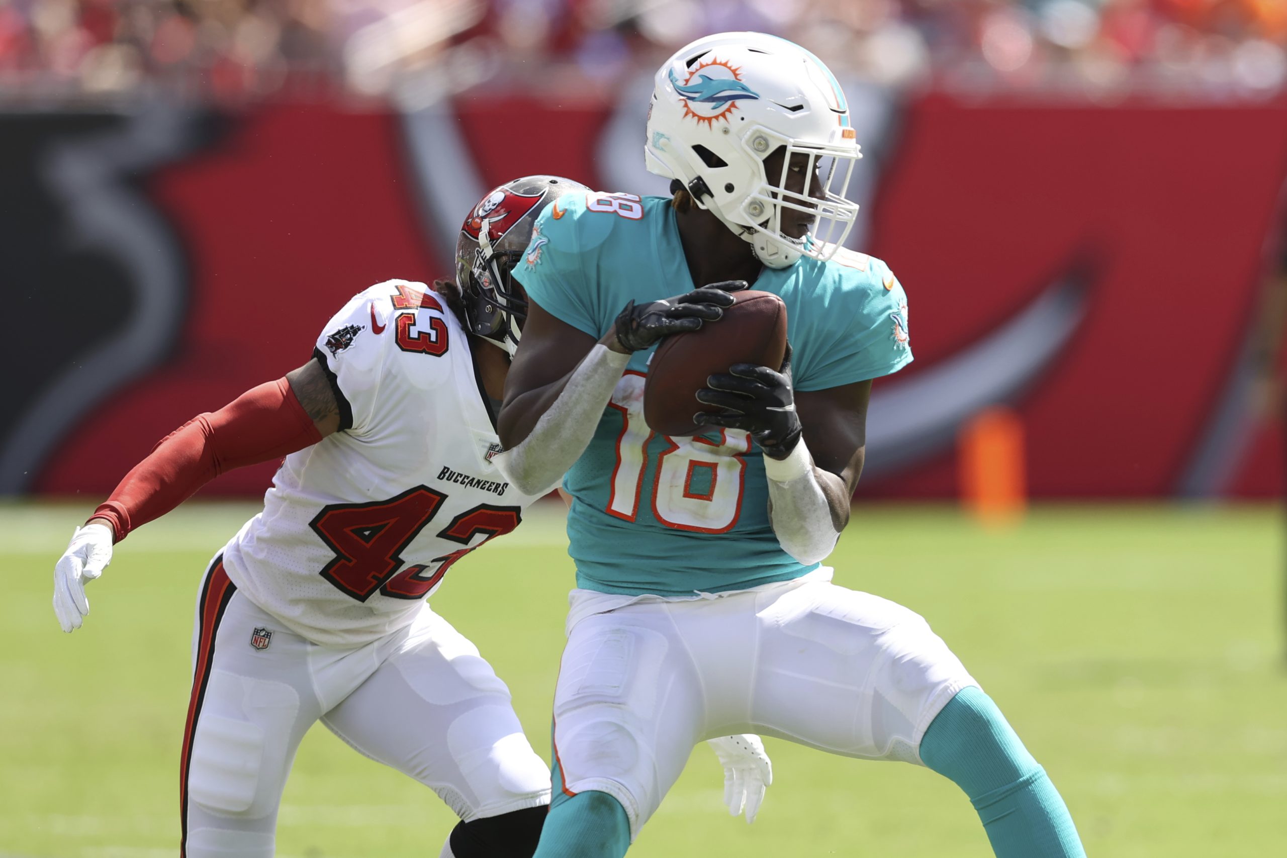 Alouettes add former Miami Dolphins receiver Preston Williams - 3DownNation