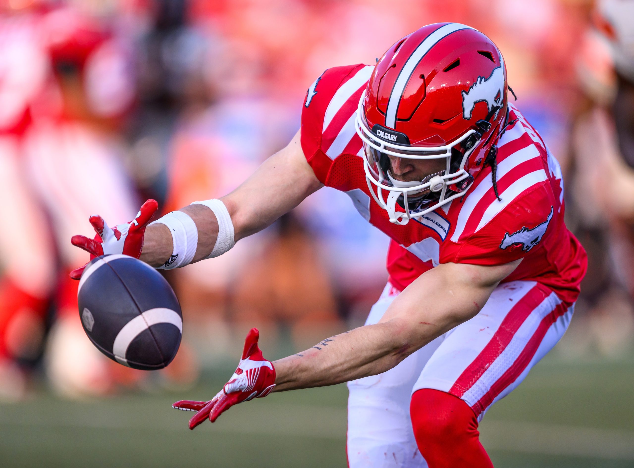 3DownNation CFL picks: can Tre Ford lead Edmonton Elks to victory over ...