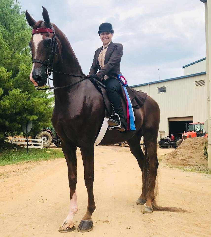 GOLDD STANDARD :: Shea Stables