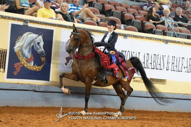 FIRE AND BRASS :: Shea Stables