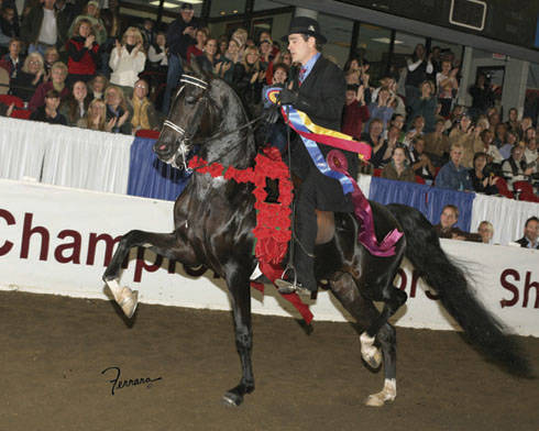 ADAMS FIRE :: Shea Stables