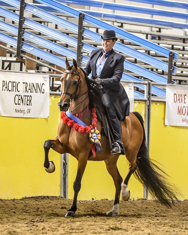 THE EMPRESSS :: Shea Stables