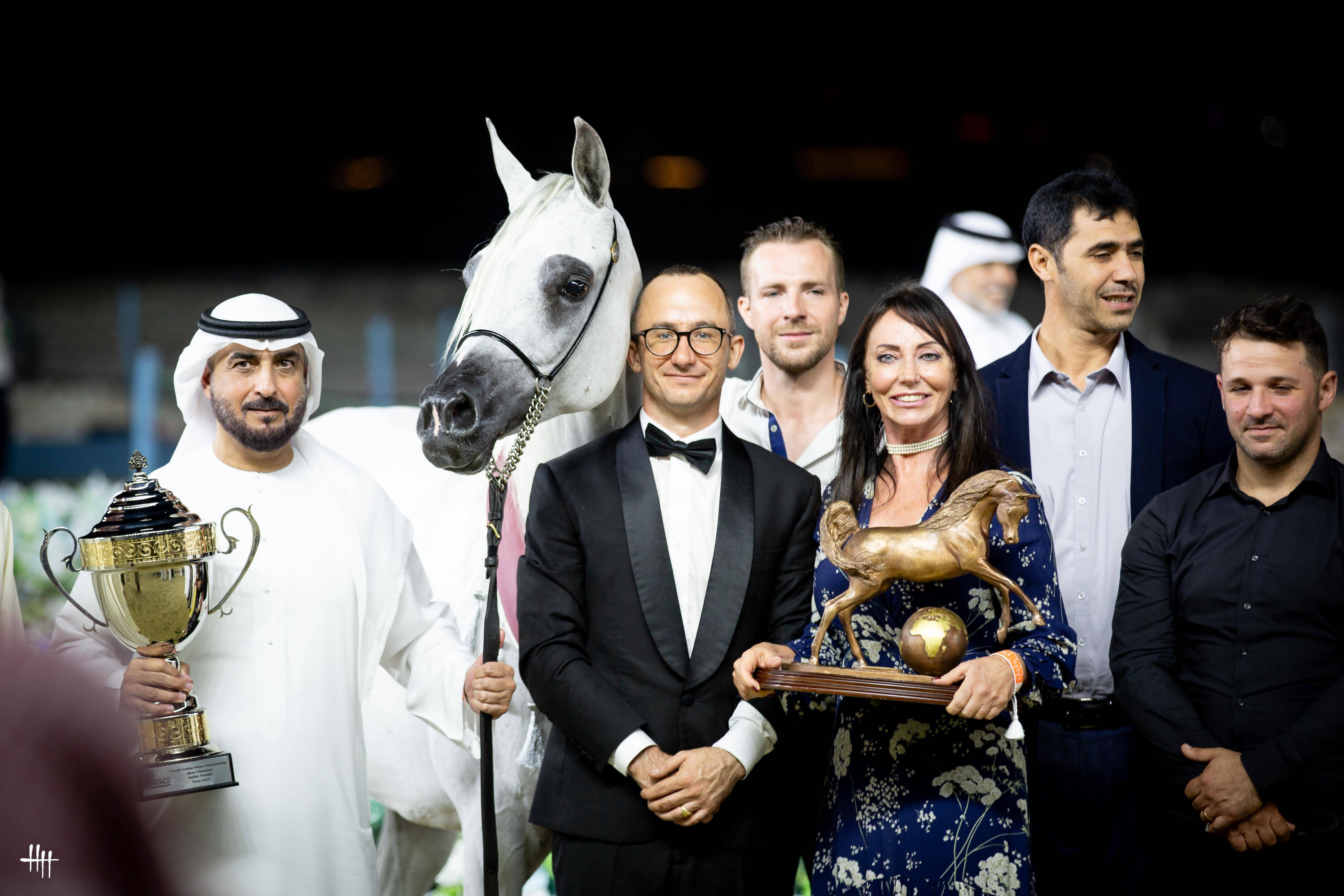 Albidayer Stud - Sharjah - United Arab Emirates