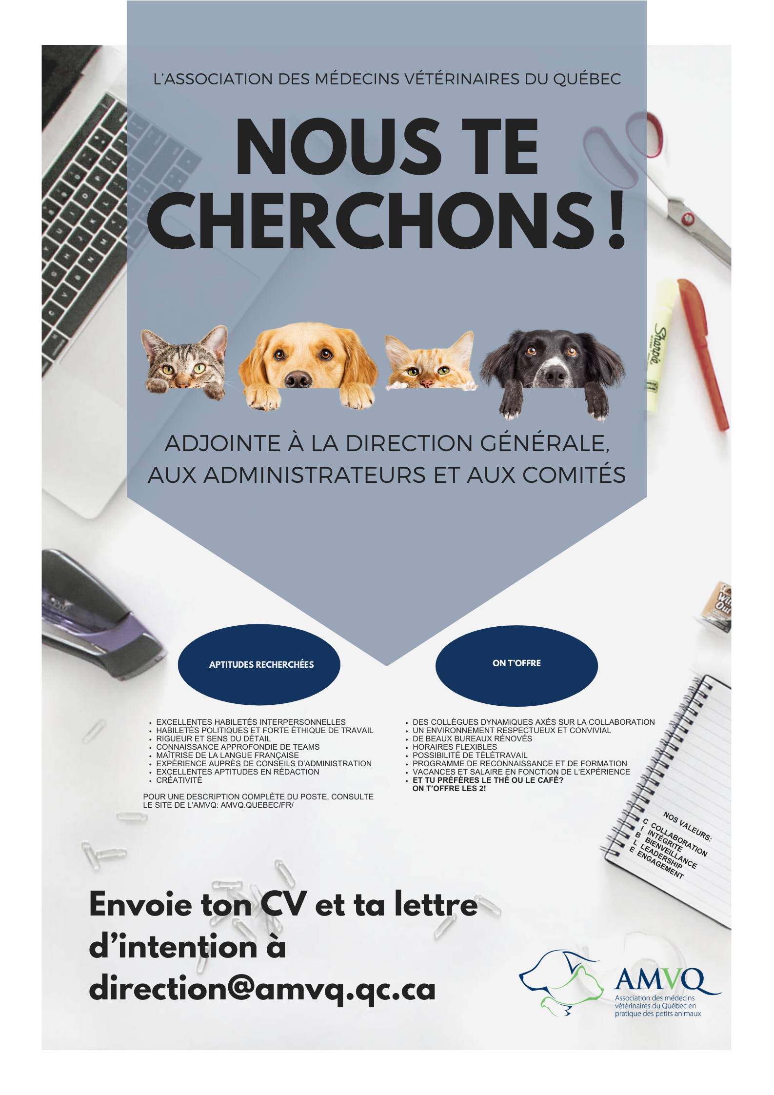 Actualité vétérinaire