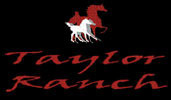 Taylor Ranch :: Arabian Horses, Stallions, Farms, Arabians, Horses For ...