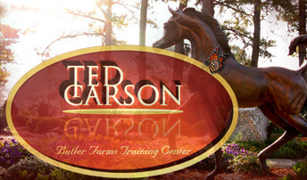 Ted Carson at Butler Farms Training Center :: Arabian Horses, Stallions ...
