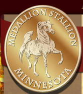 Minnesota Arabian Horse Breeders Fall Festival :: Arabian Horses ...