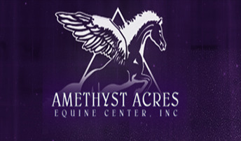 Amethyst Acres Equine Center :: Arabian Horses, Stallions, Farms ...