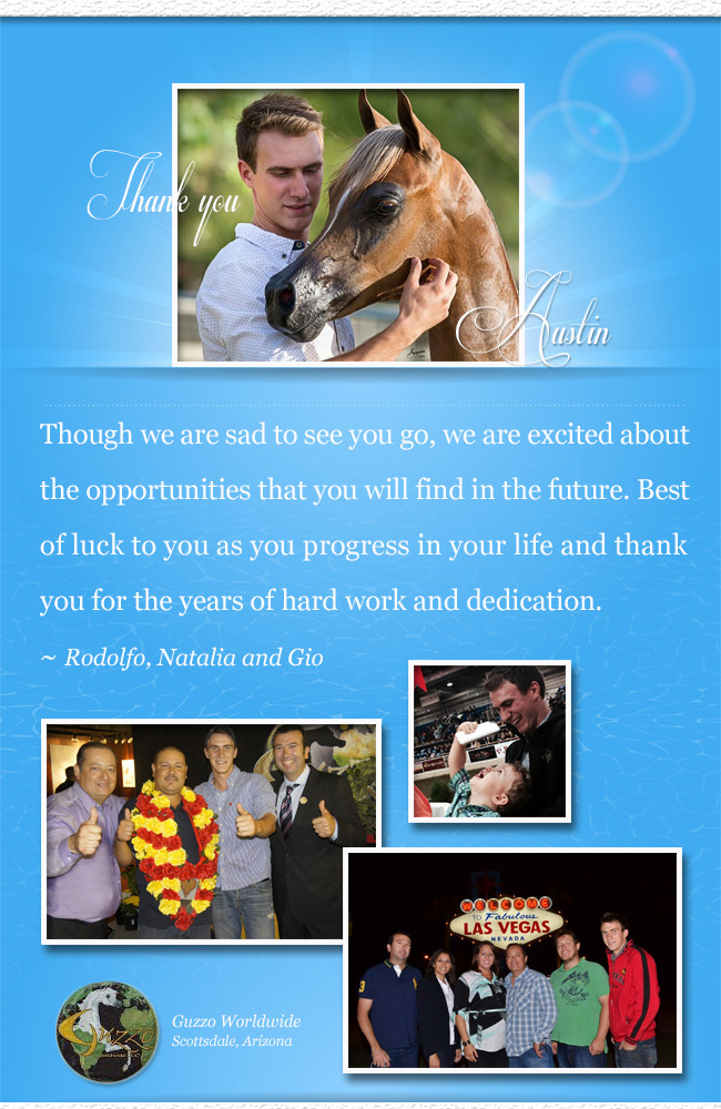 Guzzo Worldwide Thanks Austin Colangelo :: Arabian Horses, Stallions ...