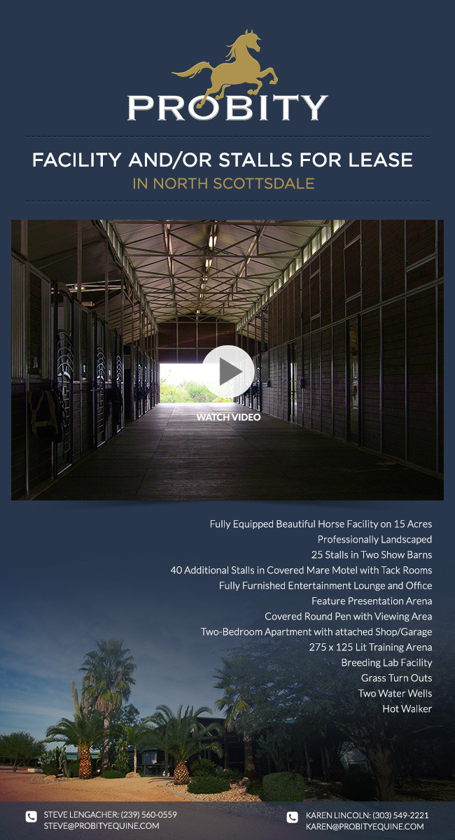 Scottsdale - Fully Equipped Beautiful Horse Facility :: Arabian Horses ...