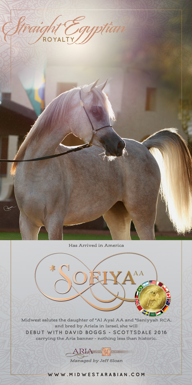 The Beautiful *Sofiya AA arrives to the United States and to The Aria ...