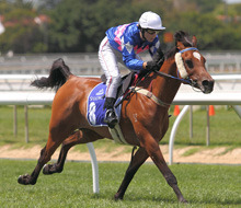 NARA thanks His Highness Sheikh Hamdan bin Rashid Al Maktoum and ...