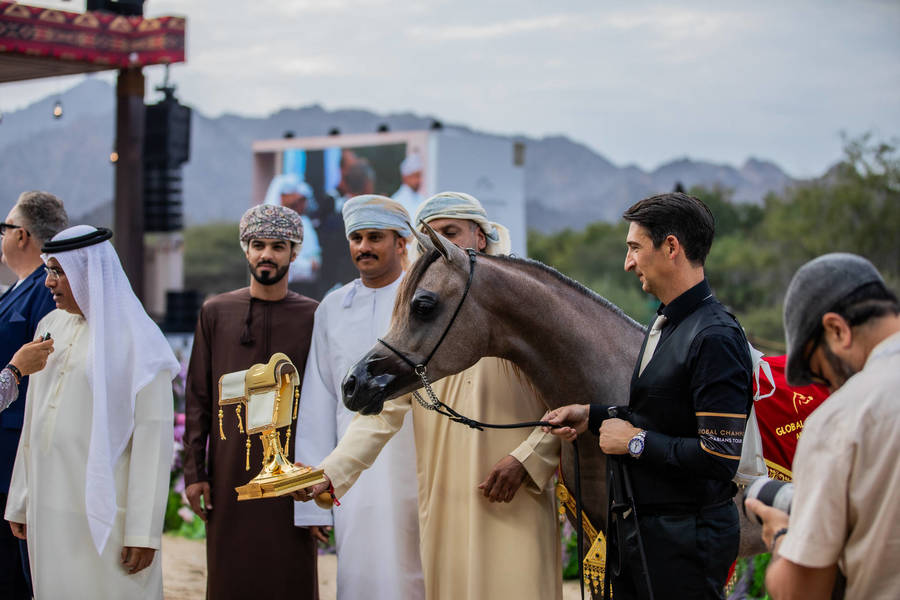 Arabian Horses: Equine Marketing, Web Design, Horse Farms & Events ...