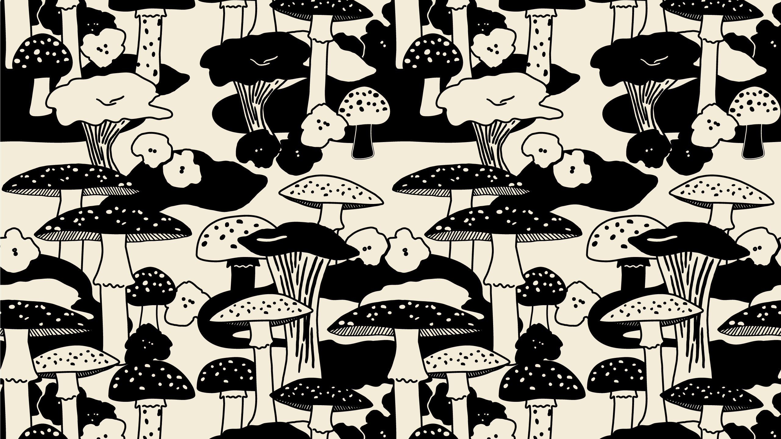 Wallpapers - Baggu