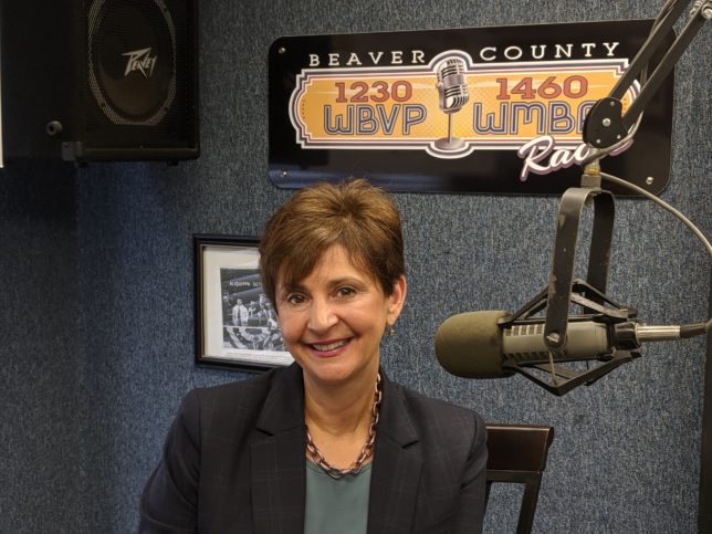 Laura Tocci, Democrat for Judge for the Court of Common Pleas stopped ...