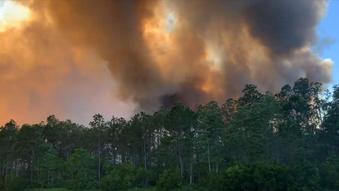 Hundreds evacuated as wildfires rage in Florida Panhandle - Beaver ...