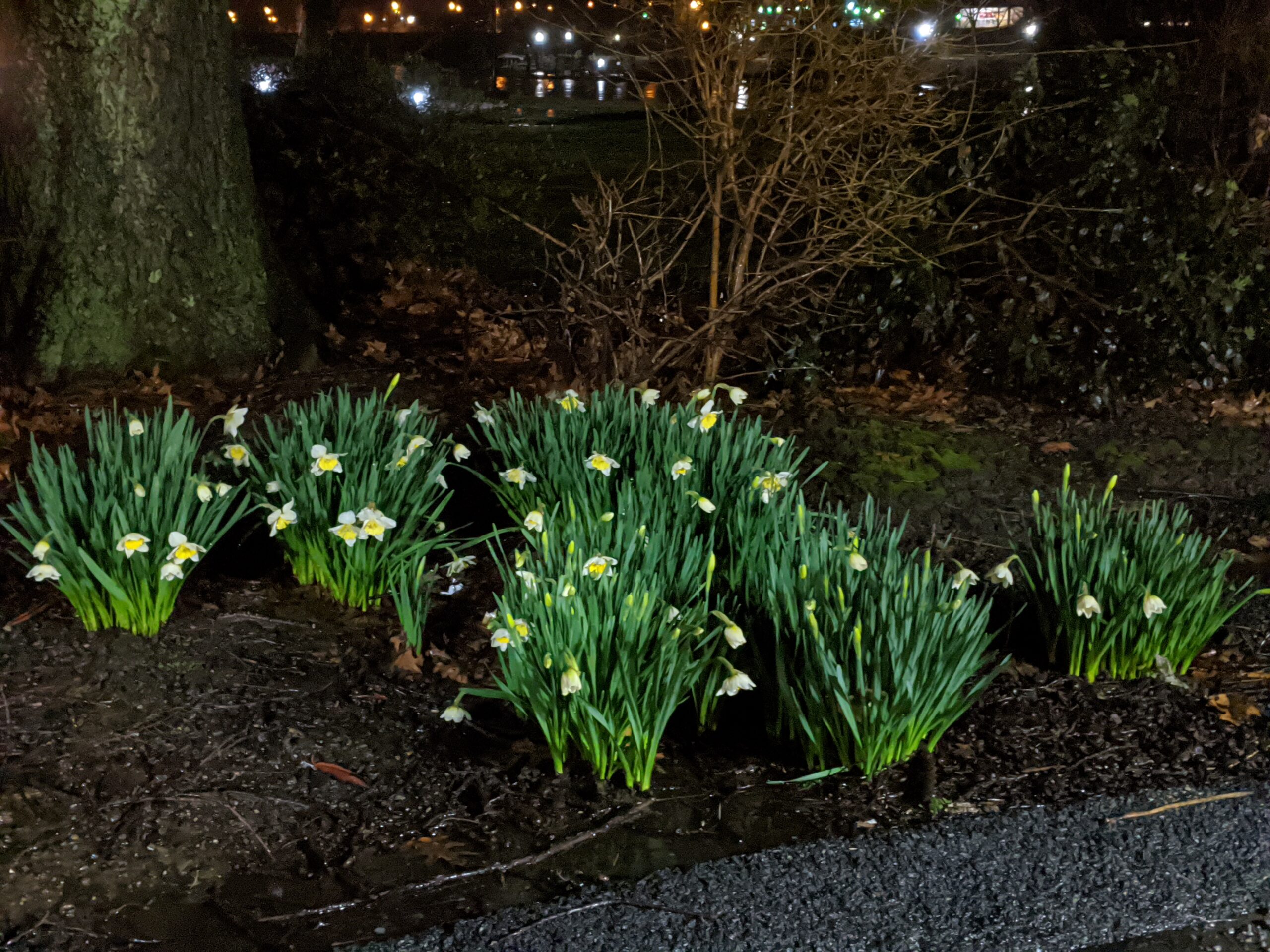 Spring Arrives Early Saturday Morning - Beaver County Radio