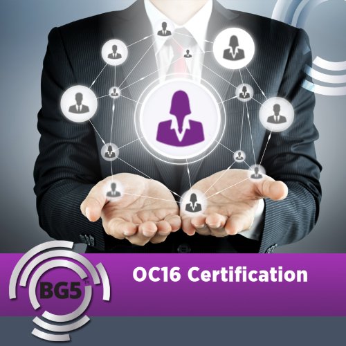 OC16 Consultant Certification - BG5BI