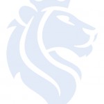 Management | Business Acquisition & Merger Associates | BAMA