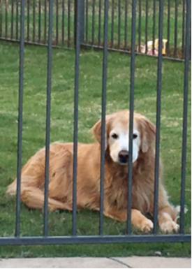 Our Team | Dignum Financial Partners