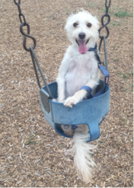 Our Team | Dignum Financial Partners