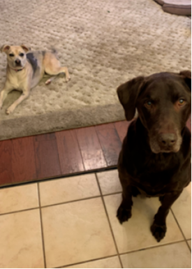 Our Team | Dignum Financial Partners