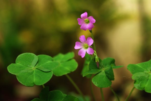 CustomizedGirl Blog - Fashion, Celebrity, and Customized Girl News