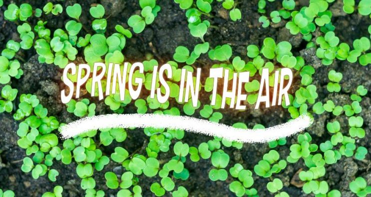 22 Irish Sayings, Slogans, & Blessings - CustomizedGirl Blog