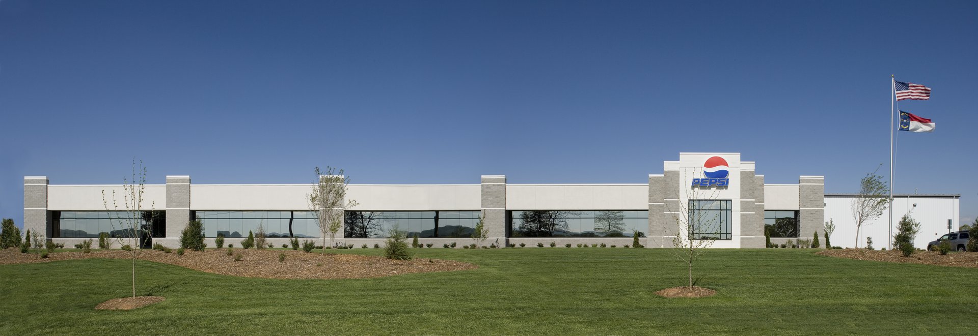 Pepsi Cola | David E Looper & Company