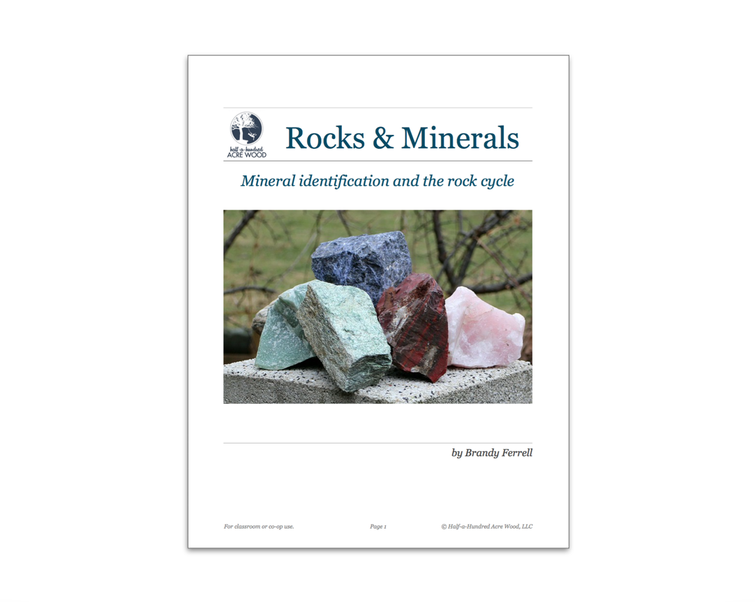 Introduction to Rocks and Minerals Lesson PDF - Family License