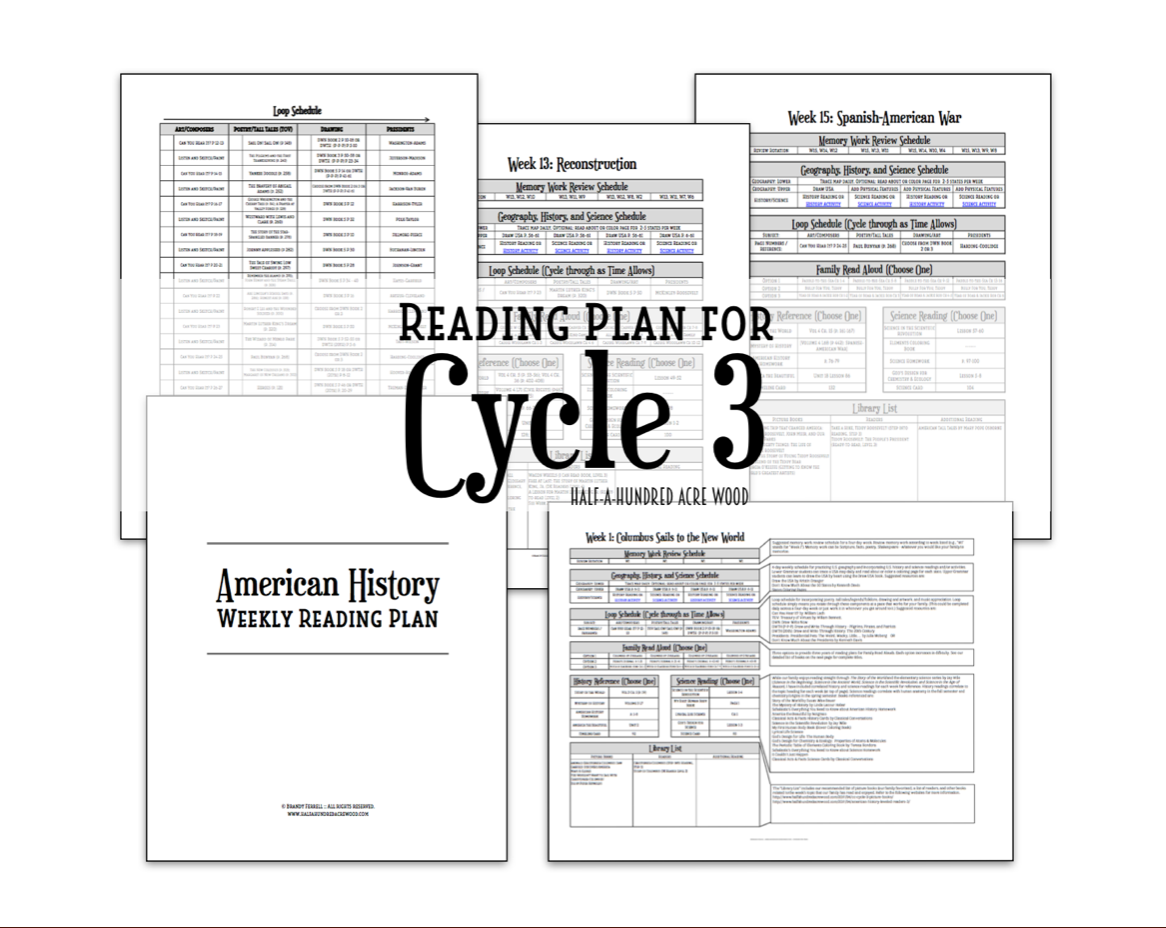 Cycle 3 American History Plans - PDF & Microsoft Excel Editable XLS