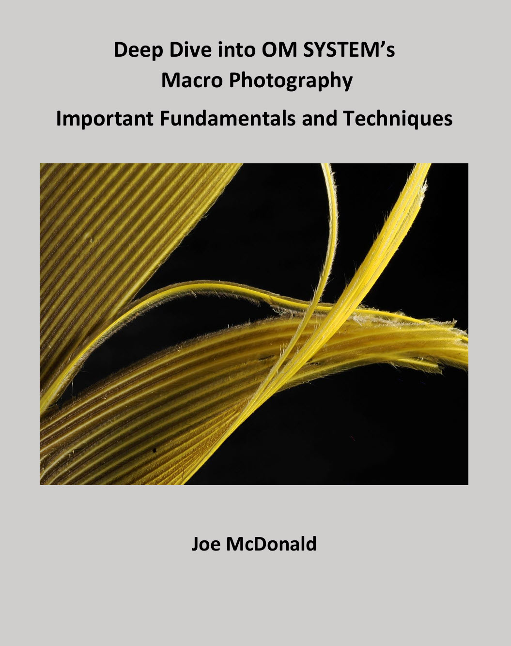 Close Up and Macro Photography - Important Fundamentals and More that ...