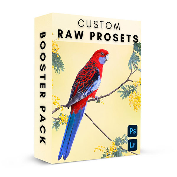 BPS PROSETS - Booster Pack