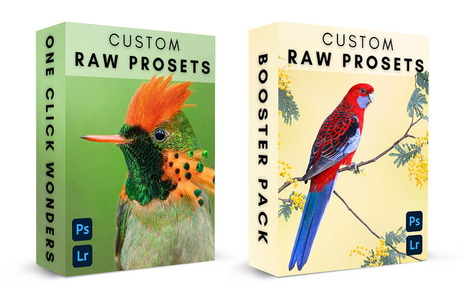 BPS PROSETS - Bundle Pack