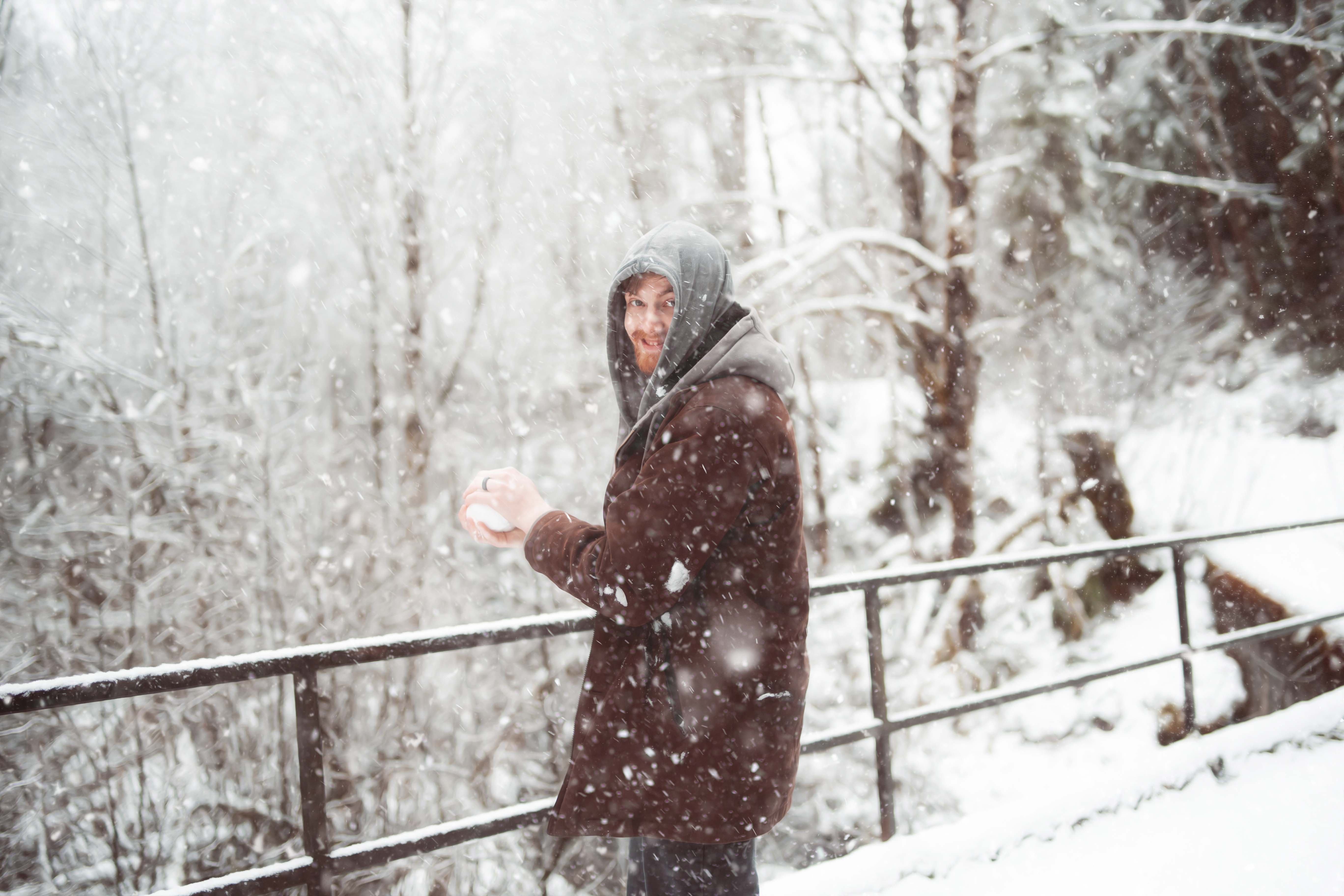 Zesty Snow Overlays + PS Brushes