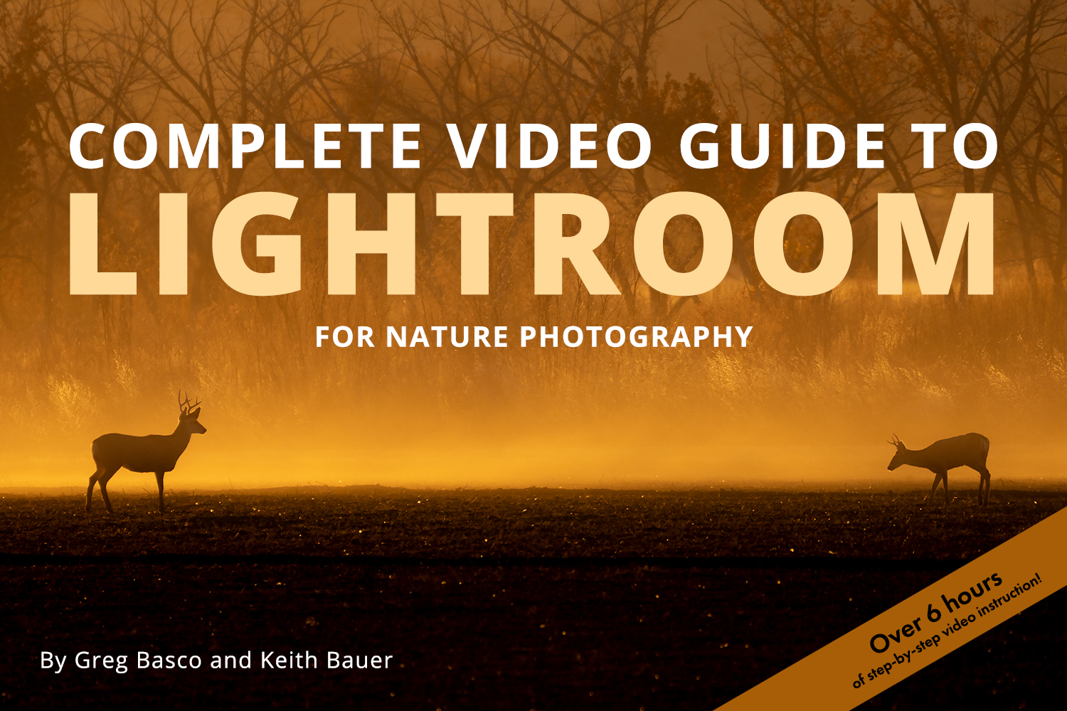 Complete Video Guide to Lightroom for Nature Photography