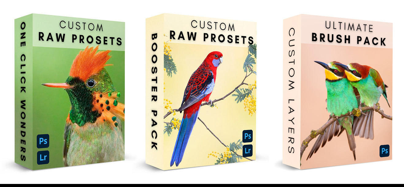 BPS Brush Pack and Prosets Combo