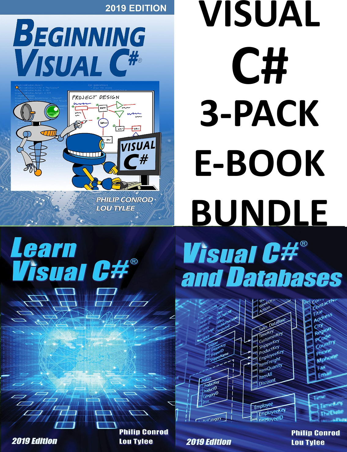 Visual C# 2019 Edition - 3 Pack Bundle - Single User E-Book Download ...