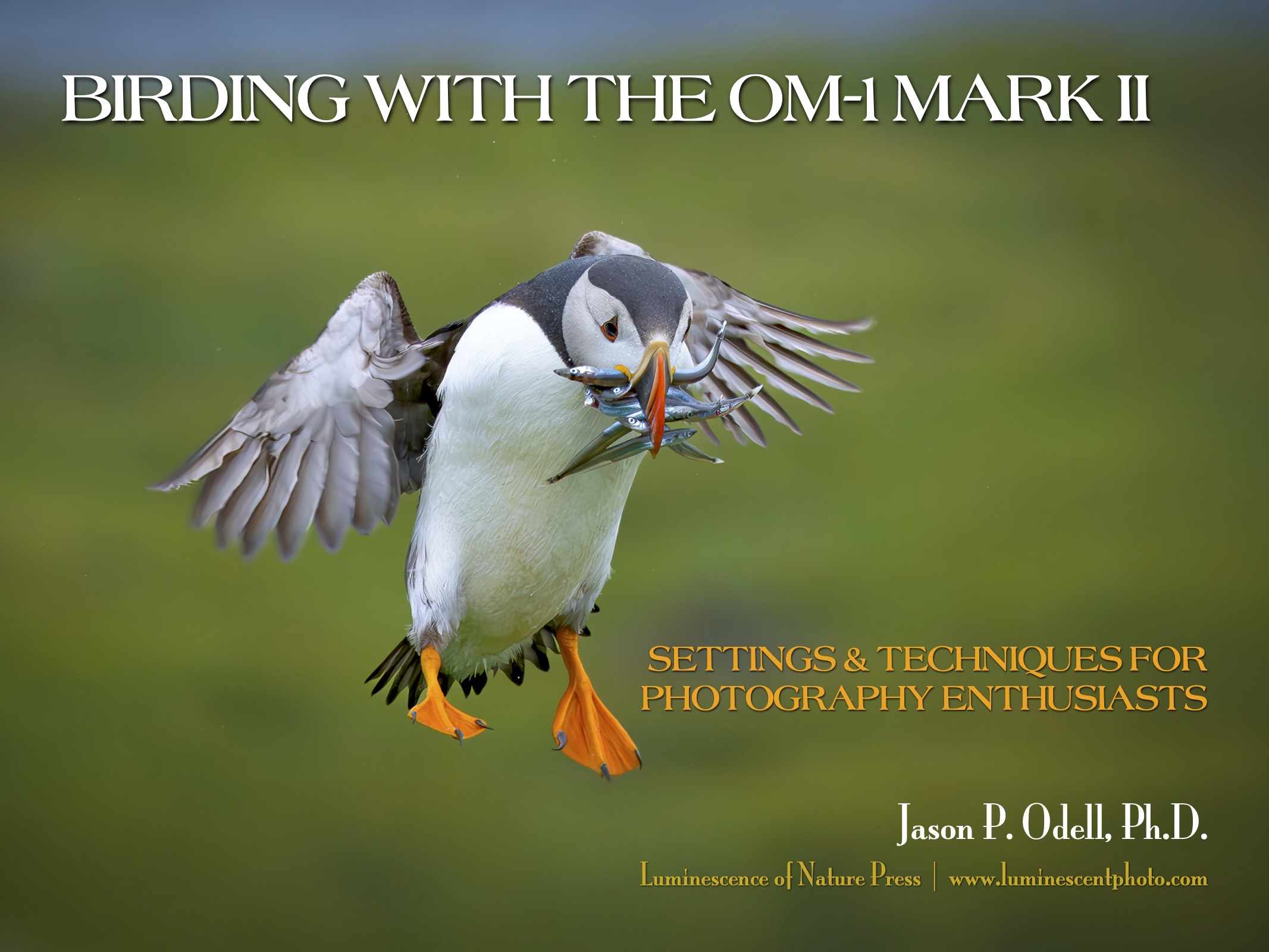 Birding with the OM-1 Mark II (PDF eBook) - Settings & Techniques for Photography Enthusiasts