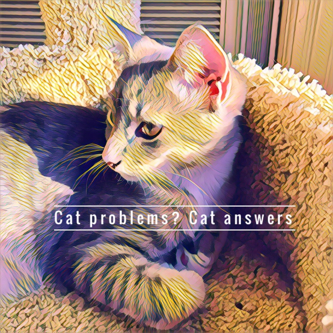 Cat 911: Fixing Their Care - All-in-one Cat Care/Problem Solving guide