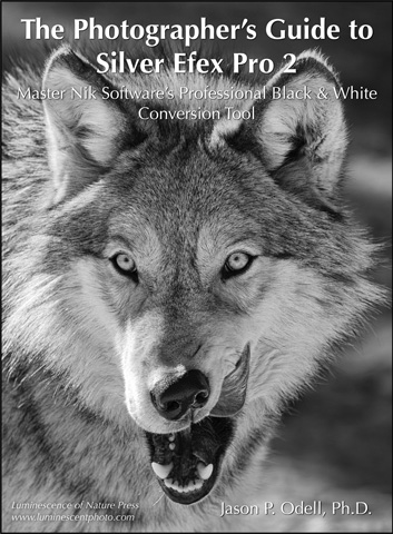 The Photographer's Guide to Silver Efex Pro 2