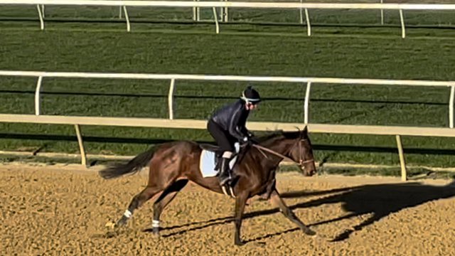 Modern Treatments and Techniques, Mid-Atlantic Region - Equine Sports ...