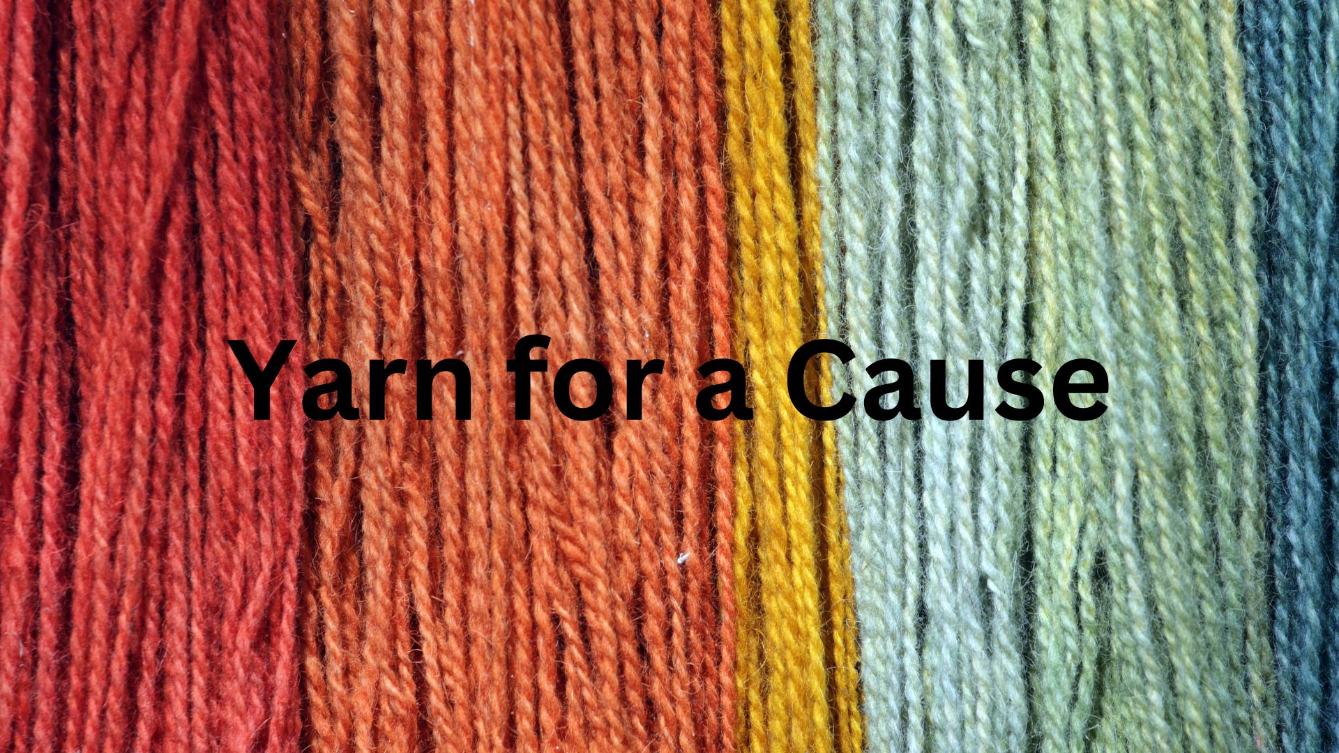 New River Branch Library | Pasco County Libraries