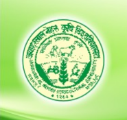 Research Associate Jobs in Jabalpur - JNKVV