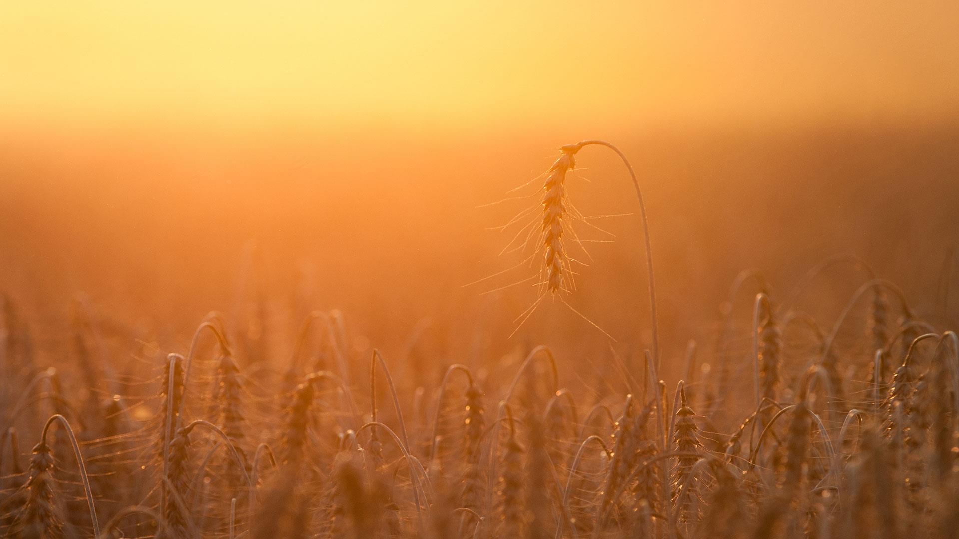 Doulos | Grace Community Church